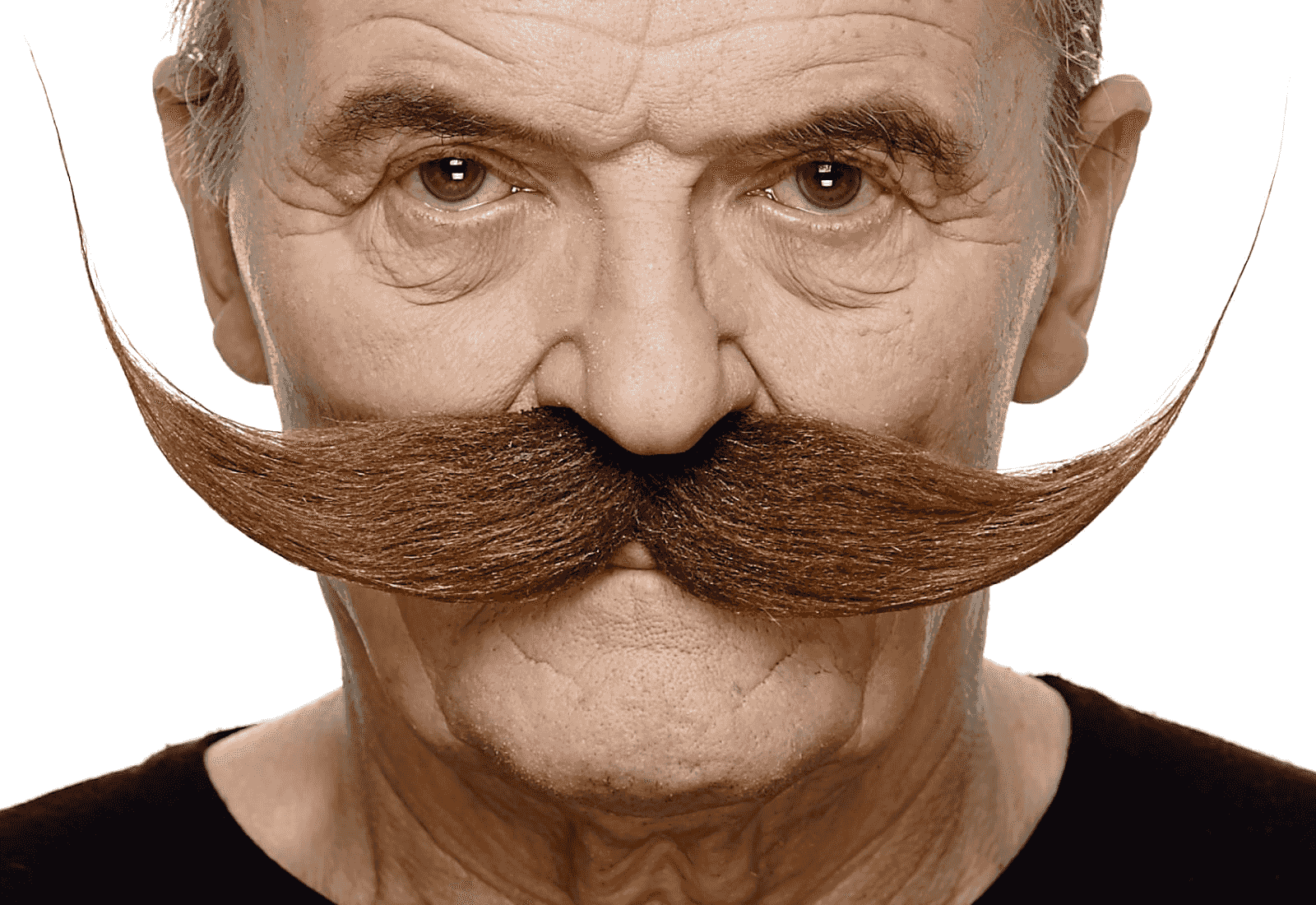 Bigotes para disfraz – Toy Planet